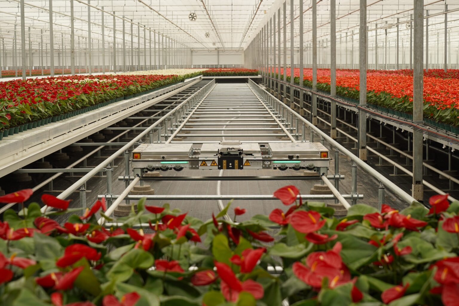 Aigency Home - Aigency