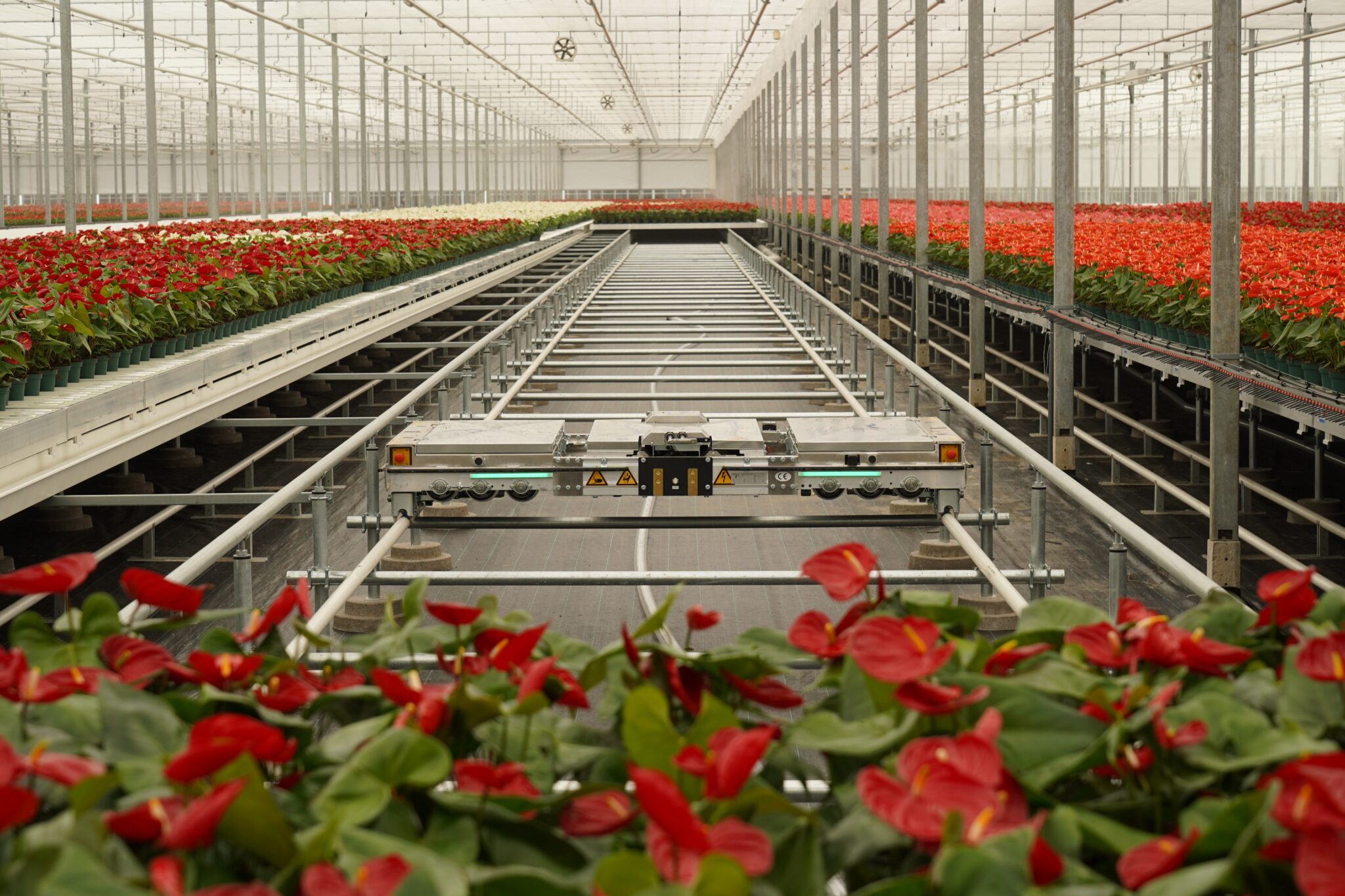 Aigency Home - Aigency